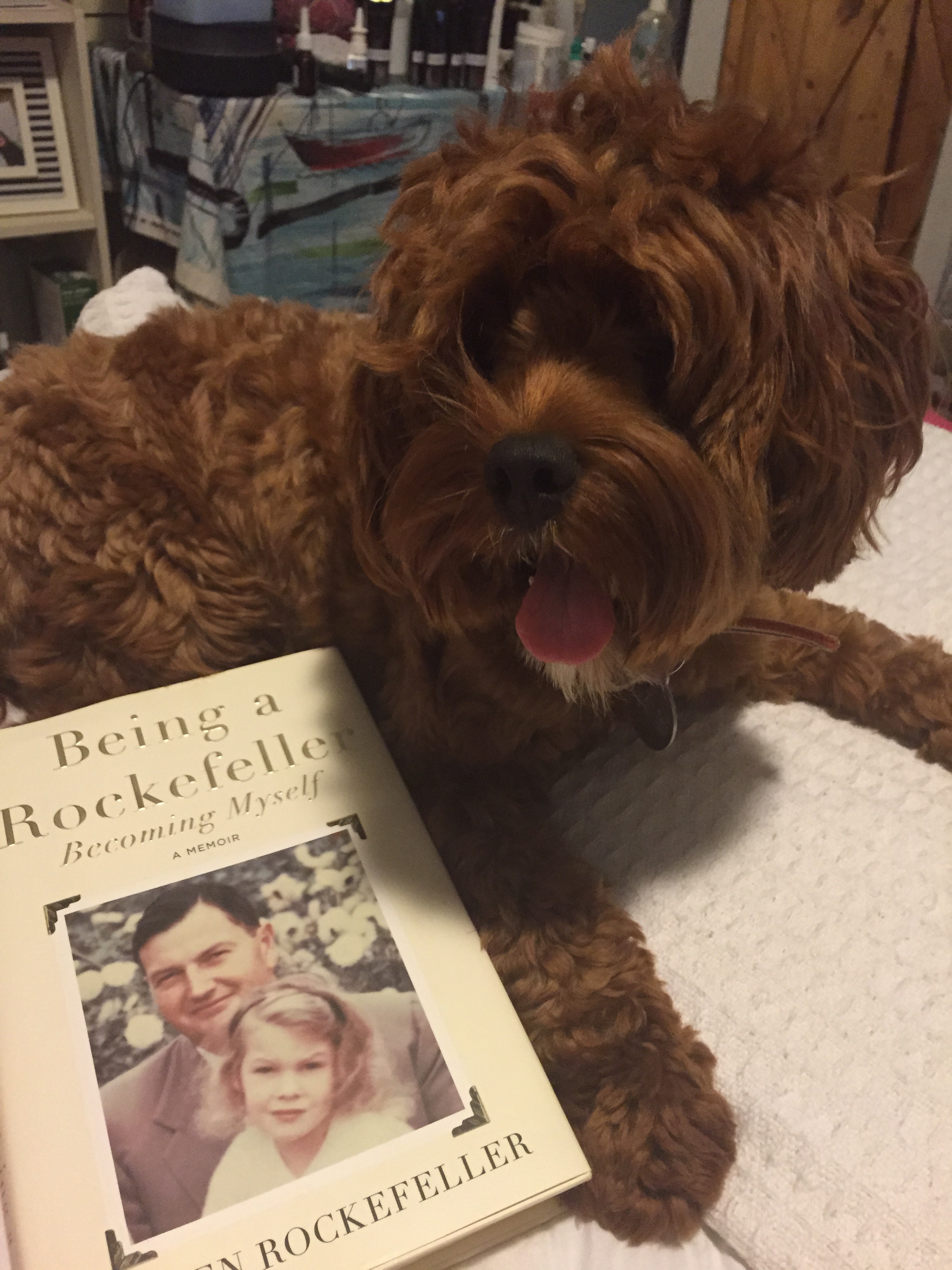 “Being a Rockefeller” – Eileen Rockefeller – Dog Eared Tails