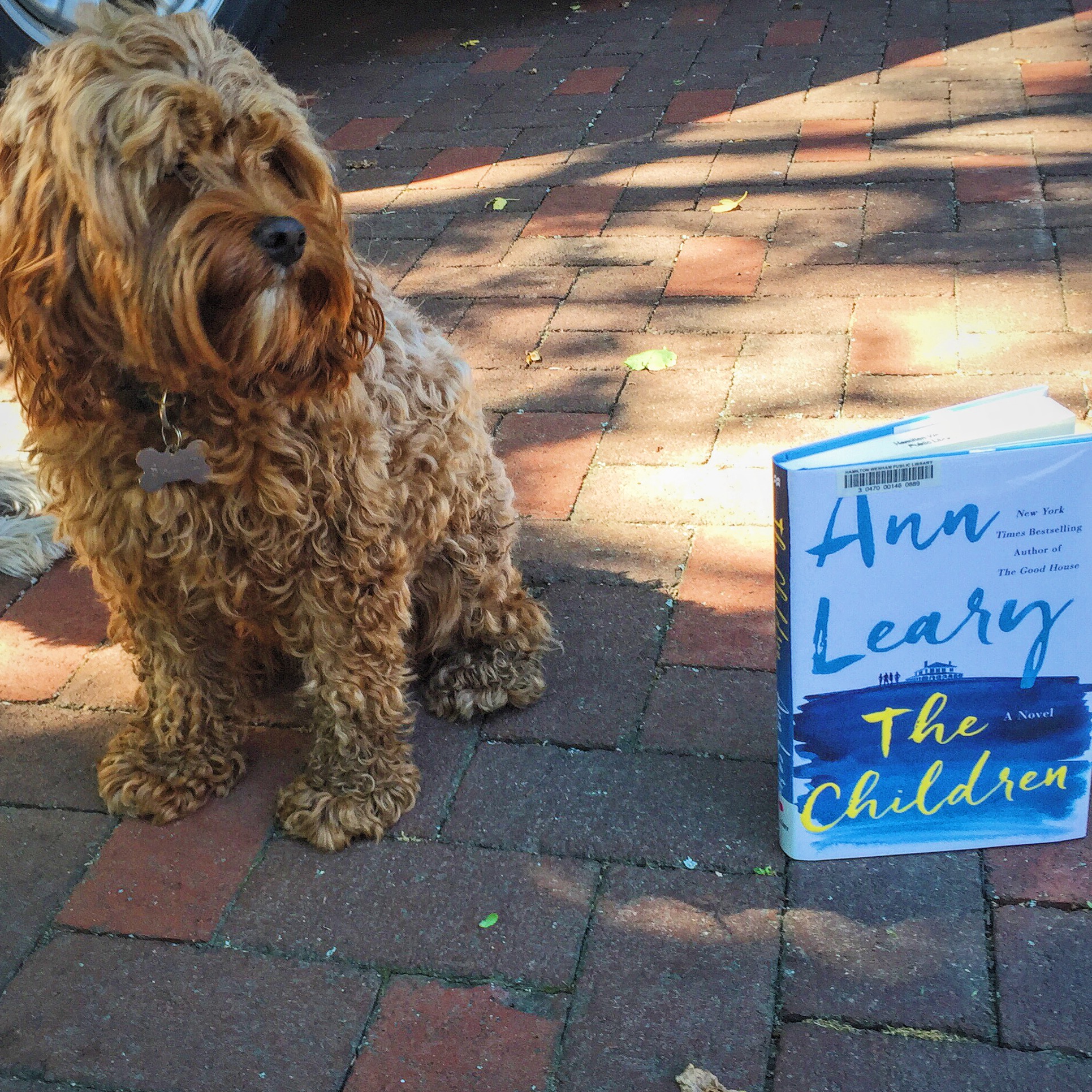 “The Children” – Ann Leary – Dog Eared Tails